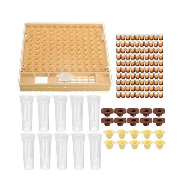 Complete Queen Rearing Kit – All-in-One Solution for Raising Queens ...