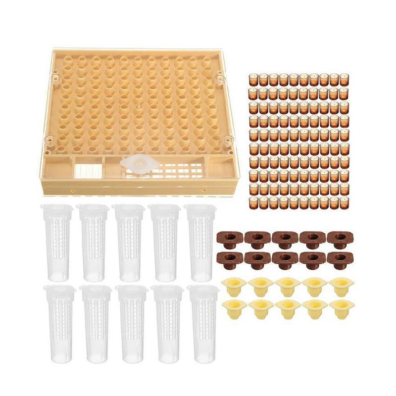 Complete Queen Rearing Kit – All-in-One Solution for Raising Queens ...
