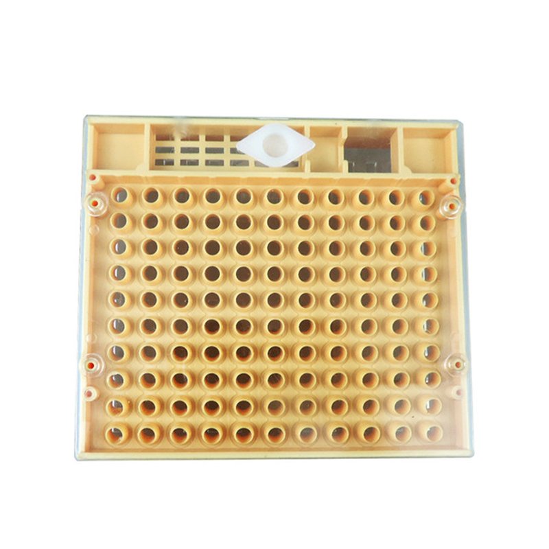 Queen Breeding Box Kit – Efficient and Controlled Queen Rearing ...